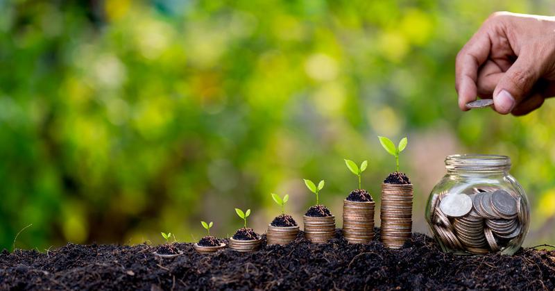 AIPA a acordat în acest an subvenții în agricultură de peste 260 de milioane de lei | TVR MOLDOVA