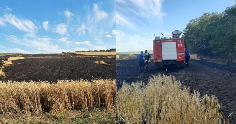 Peste 20 hectare de orz și 30 hectare de grâu au fost nimicite de ...