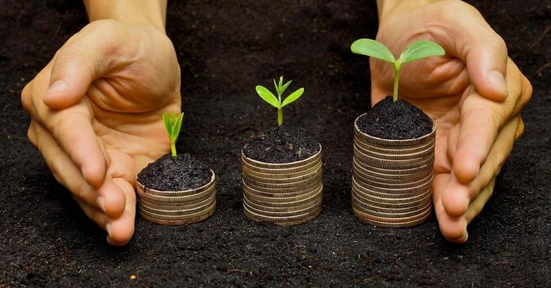 AIPA: 30 septembrie - ultima zi de depunere a cererilor de solicitare a subvențiilor ...