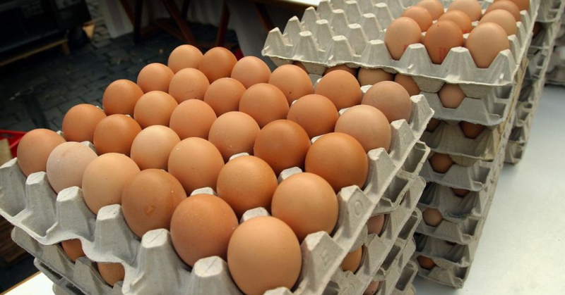 ANSA atenționează: Ouă infectate cu salmonella la o fermă din Dondușeni ...